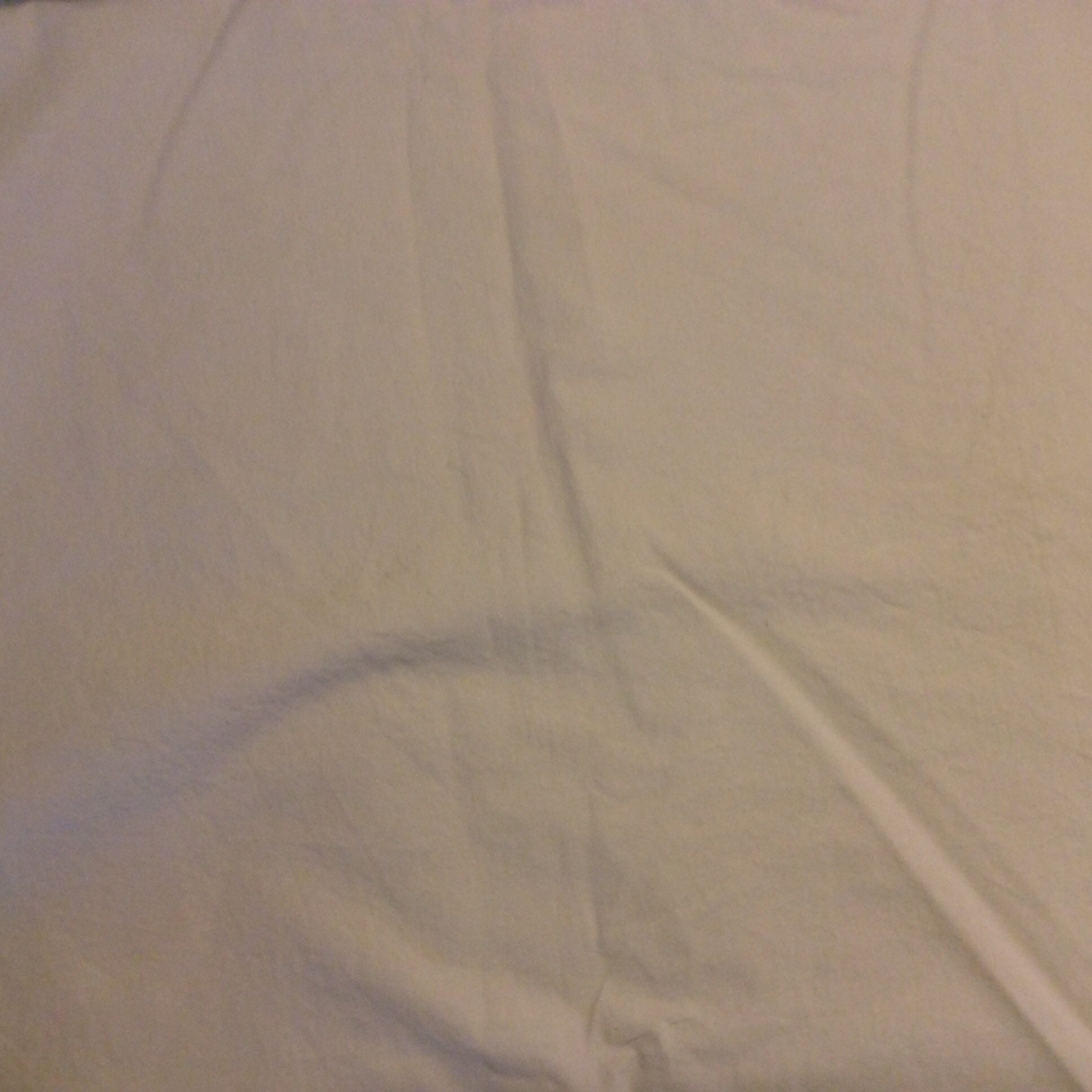 Sheet - Queen Flat 100% Cotton Ralph Lauren Light Tan, Free Shipping ...