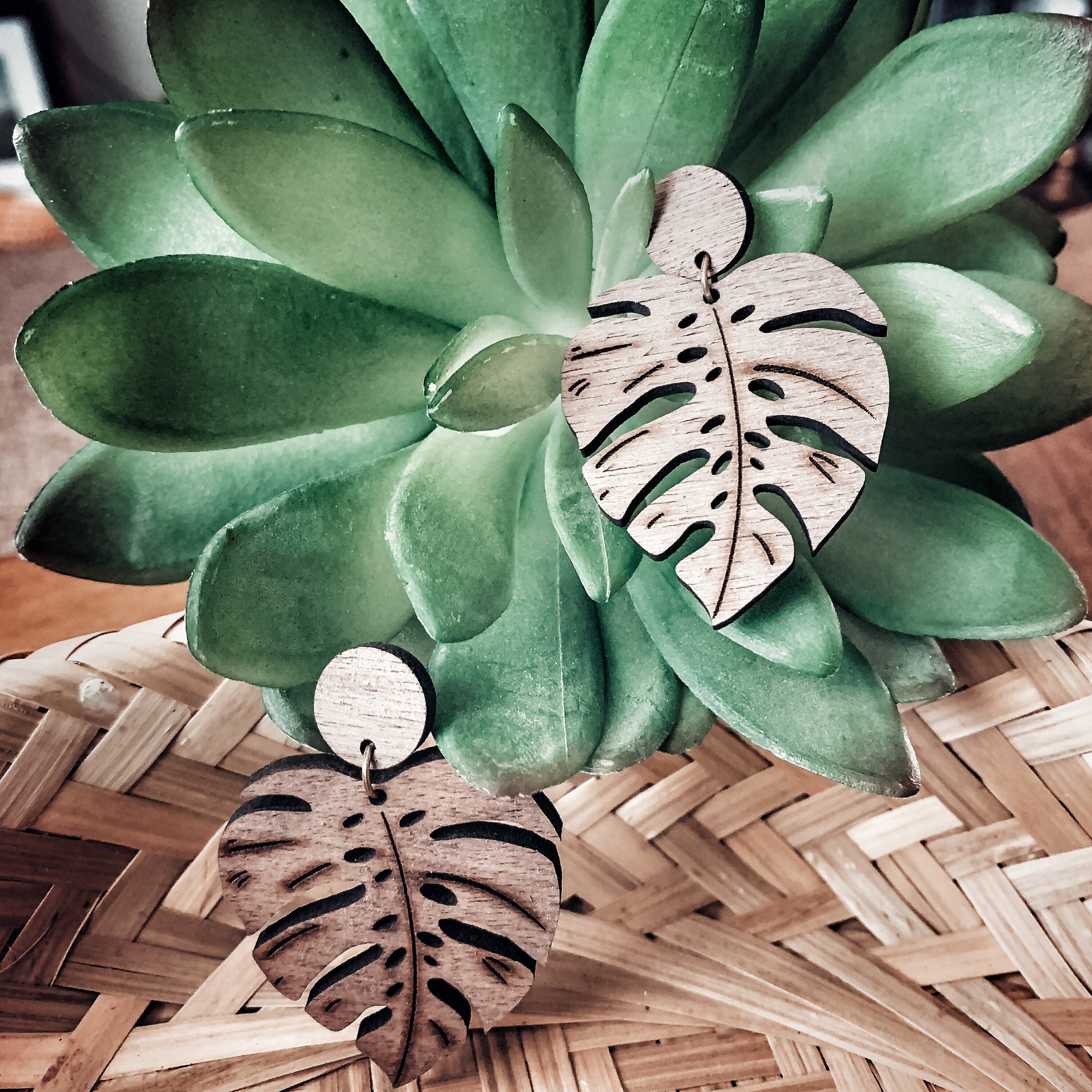 Walnut Wood Monstera Leaf Dangle Stud Earrings Lightweight | Etsy