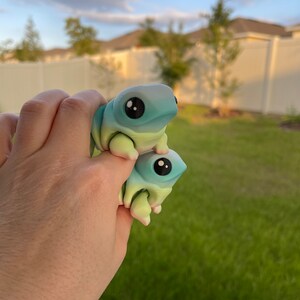 Cute Chunky Frog Articulating Gift Desk Decor Customizable You Choose ...