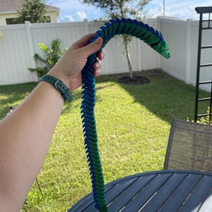 Articulating Eel 3D Print Customizable Choose Color - Etsy