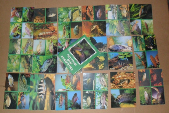 Aquarium Fish. Full Set of 18 Vintage Soviet Russian Photo - Etsy