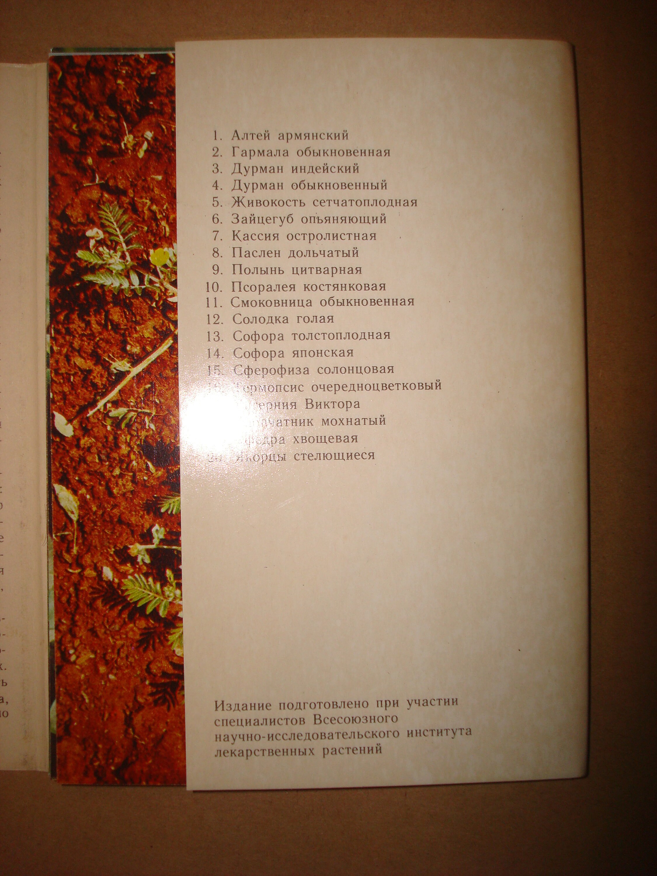 Medicinal Plants. Full Set of 20 Vintage Soviet Russian Color - Etsy