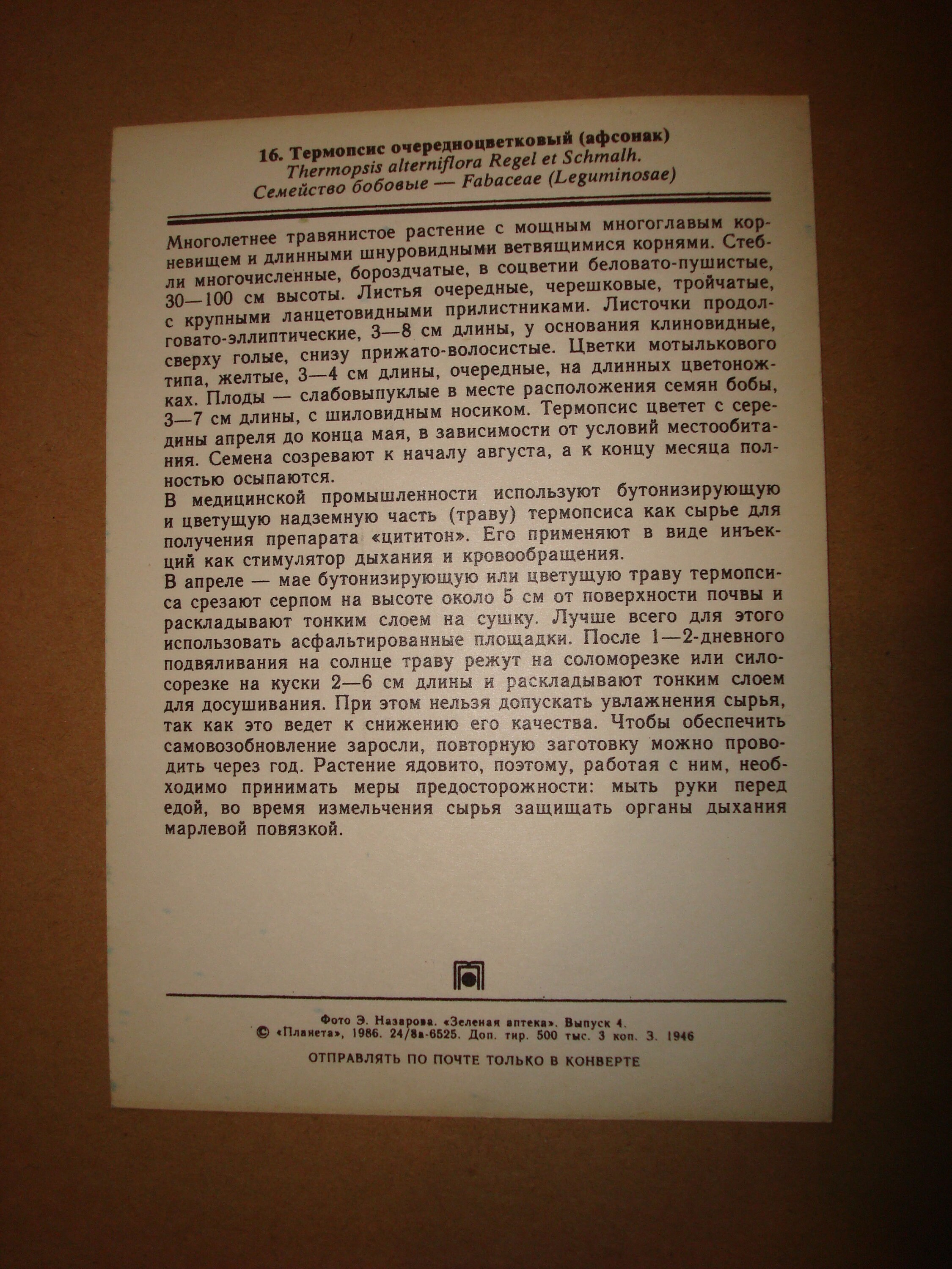 Medicinal Plants. Full Set of 20 Vintage Soviet Russian Color - Etsy