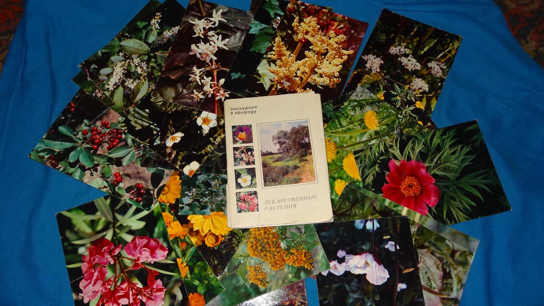 1977 Medicinal Plants . Vintage Set of 24 Color Photo Postcards ...