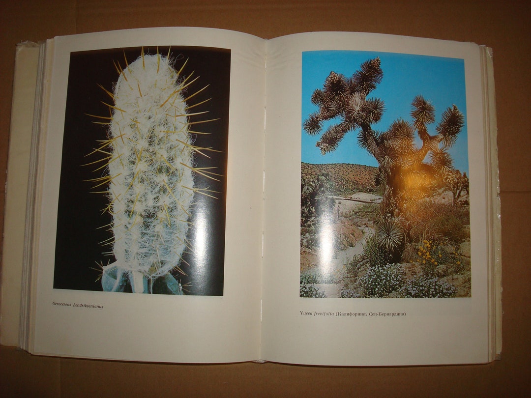 1981 Cactuses. Vintage Soviet Big Book Manual Guide in Russian ...