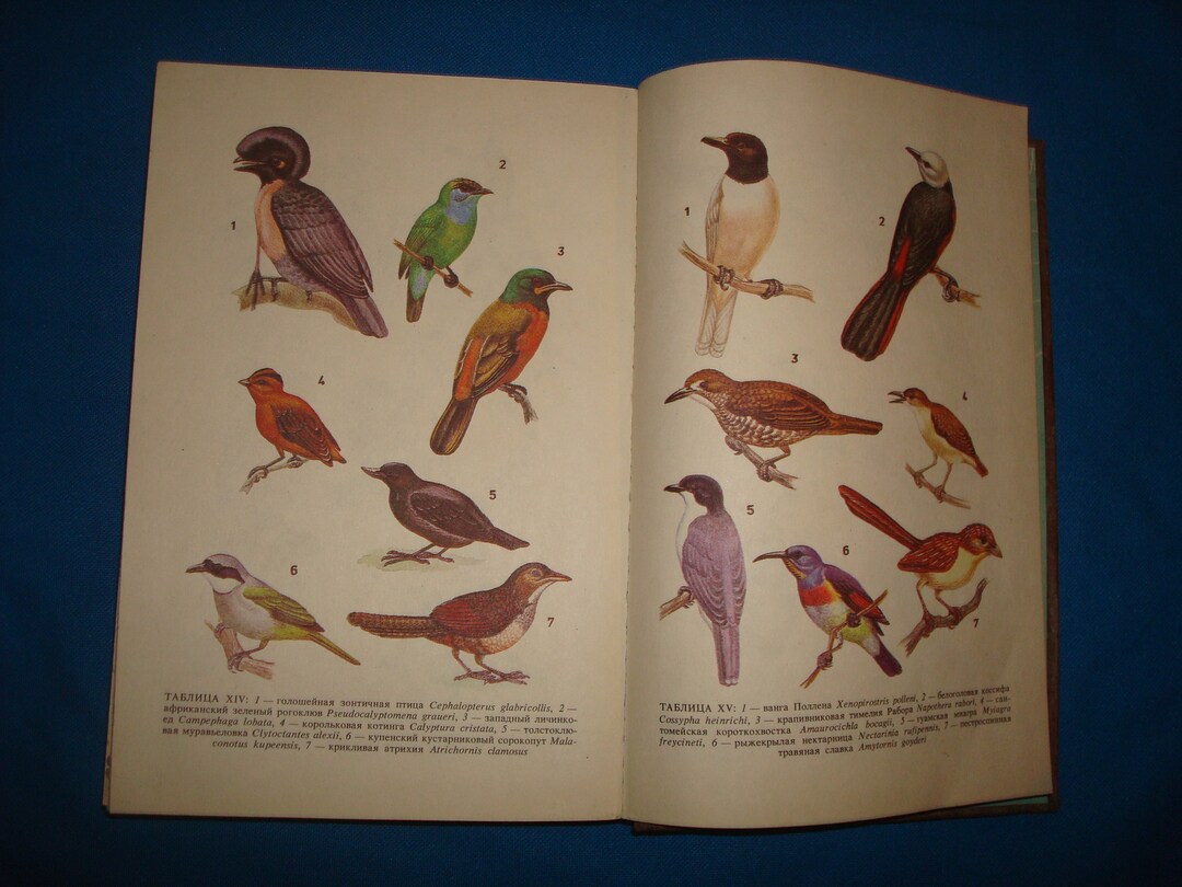 1992 Rare and Disappearing Birds of World. Vintage Book in Russian ...