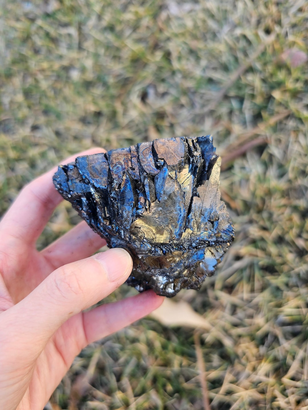 Gorgeous Hand Selected Colombian Iridescent Elite Shungite Stone/rough ...