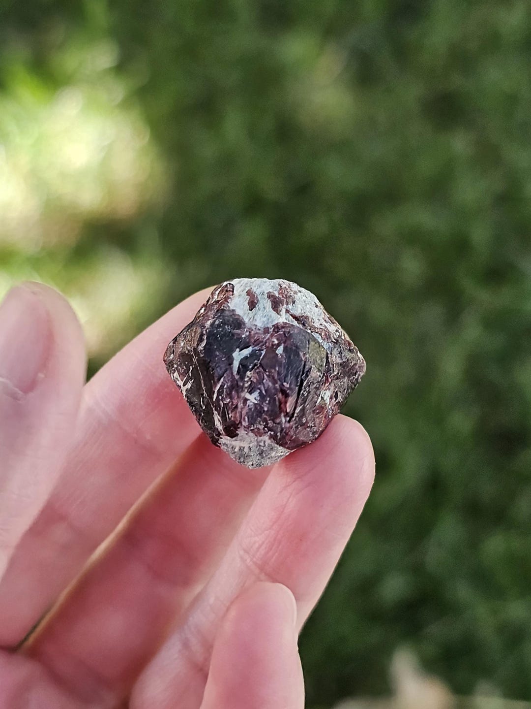 Rare Collection! A Quality Red Pyrope Garnet With Green Mica Specimen ...