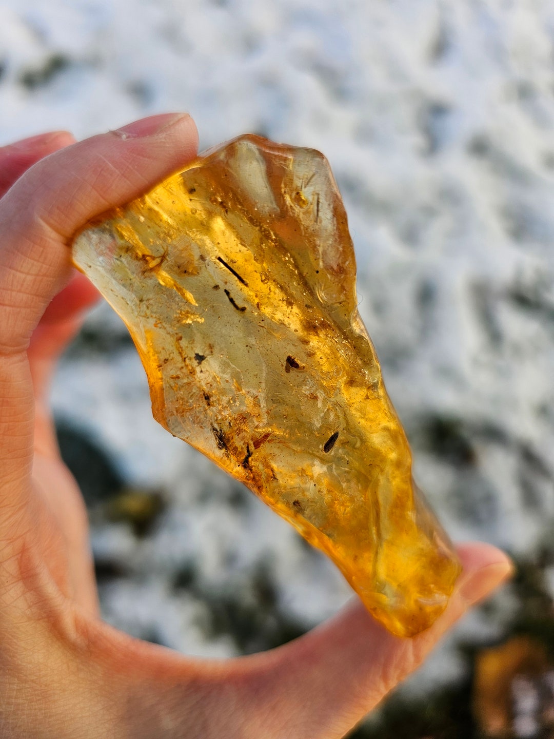 Rare Honey Gold Copal Amber With Insects From Madagascar/a - Etsy