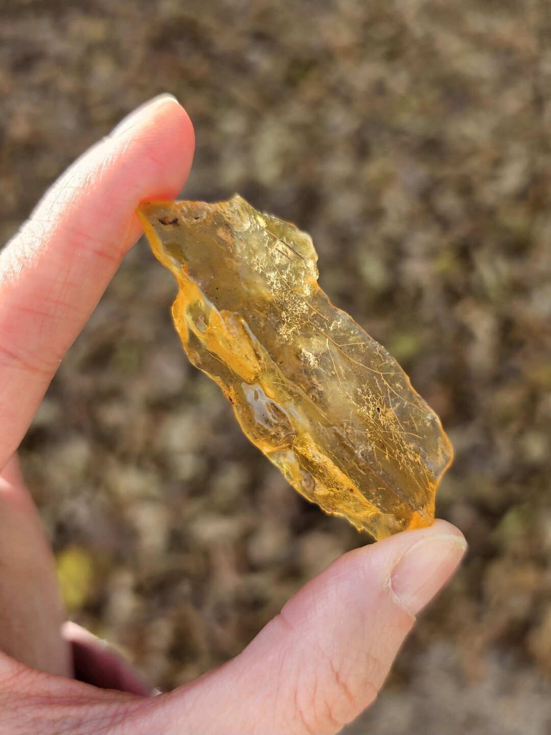 Rare Honey Gold Copal Amber From Madagascar/a Quality Genuine Natural ...