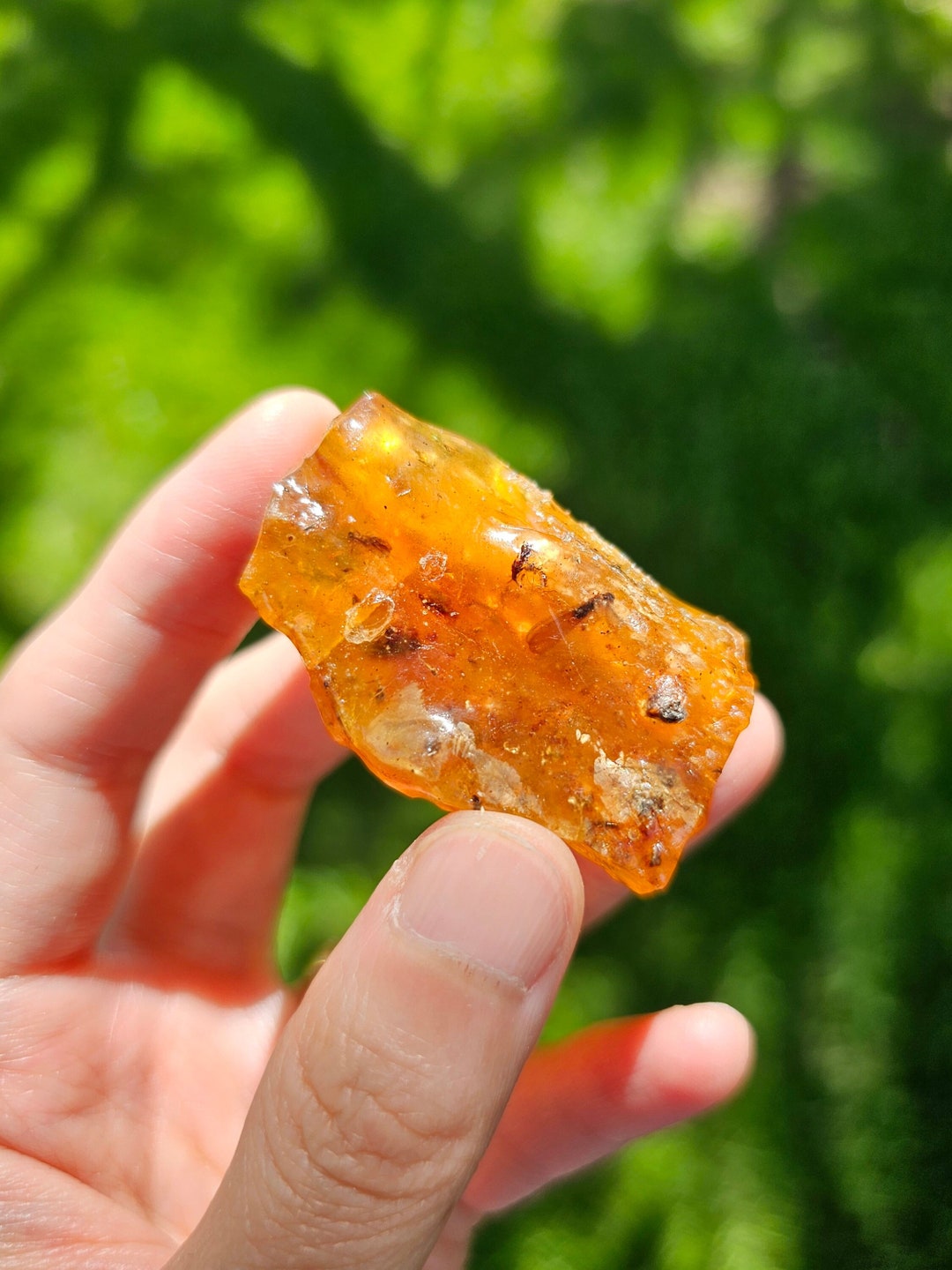 Rare Honey Gold Copal Amber With Insect From Madagascar/a Quality ...
