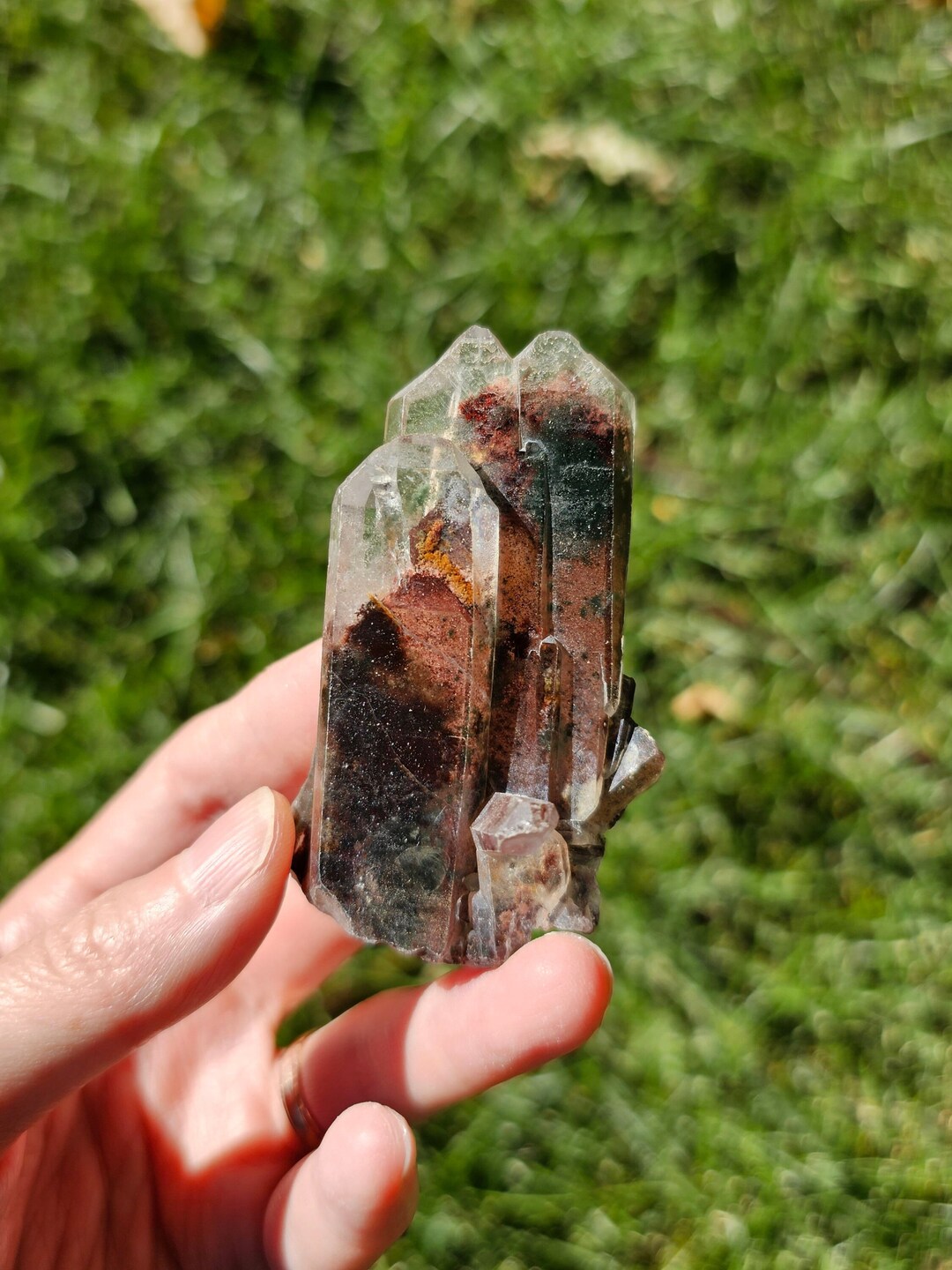 Rare! Red Hematite + Chlorite Inclusion Phantom Quartz Tabby Quartz ...