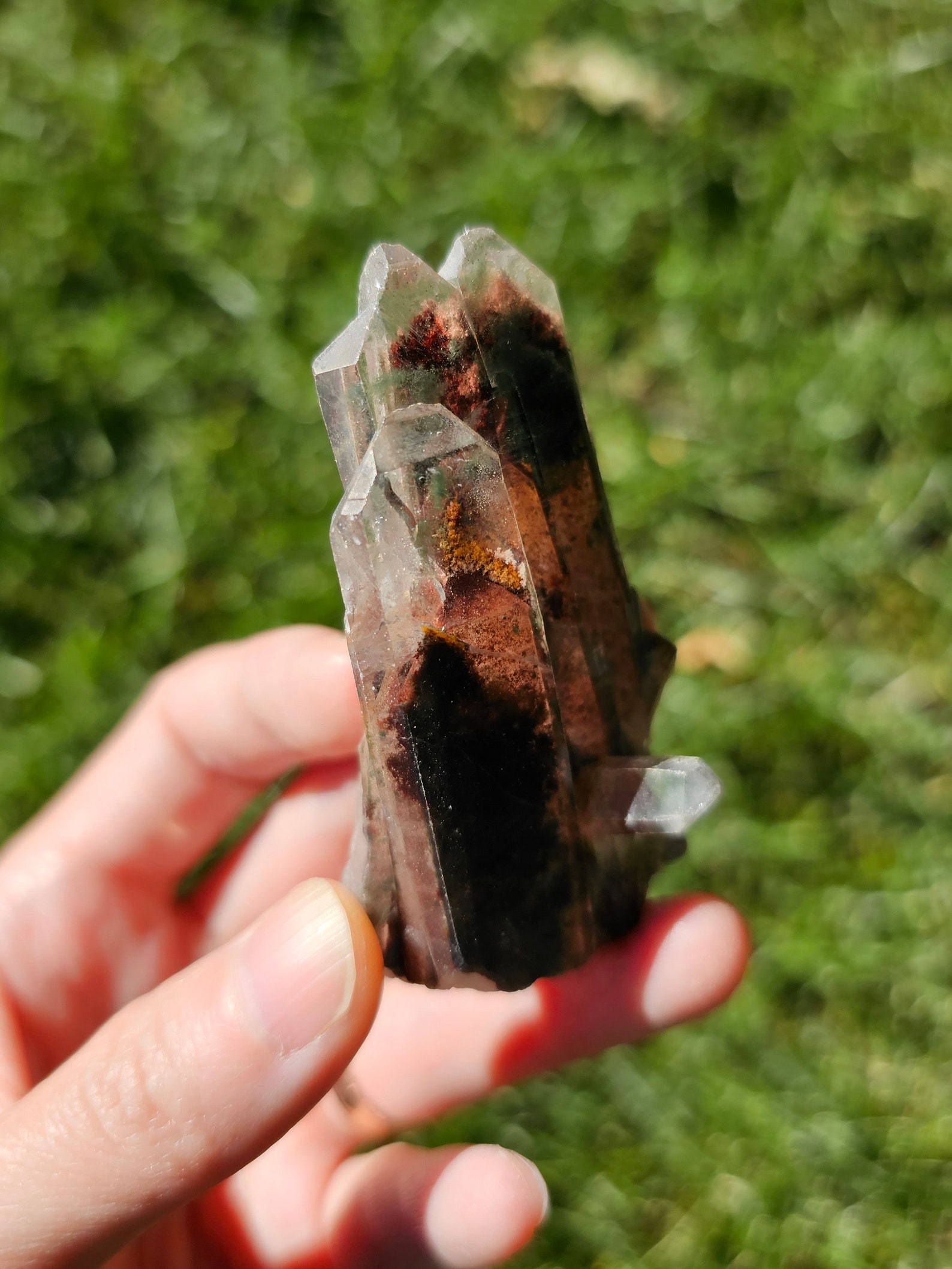 Rare! Red Hematite + Chlorite Inclusion Phantom Quartz Tabby Quartz ...