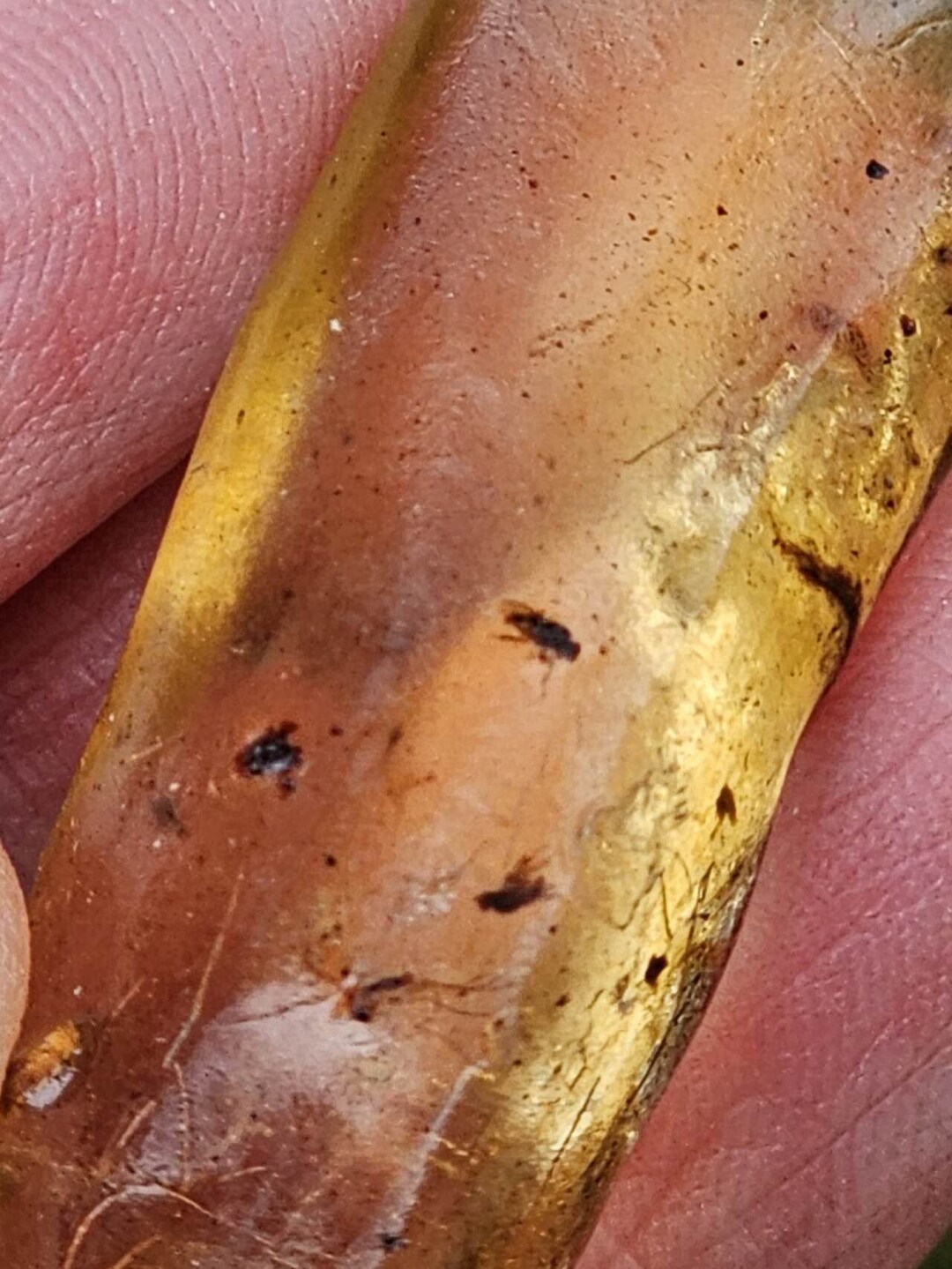 Rare Honey Gold Copal Amber Wand With Insects From - Etsy