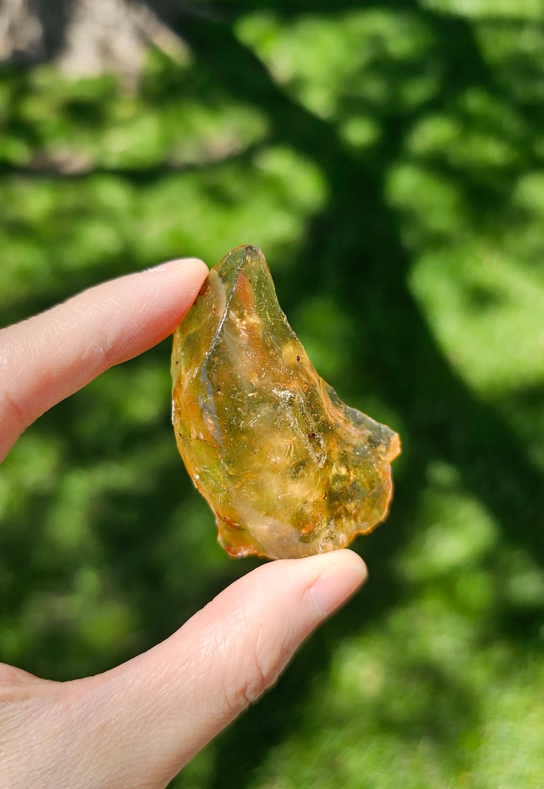 Rare Honey Gold Copal Amber From Madagascar/a Quality Genuine Natural ...