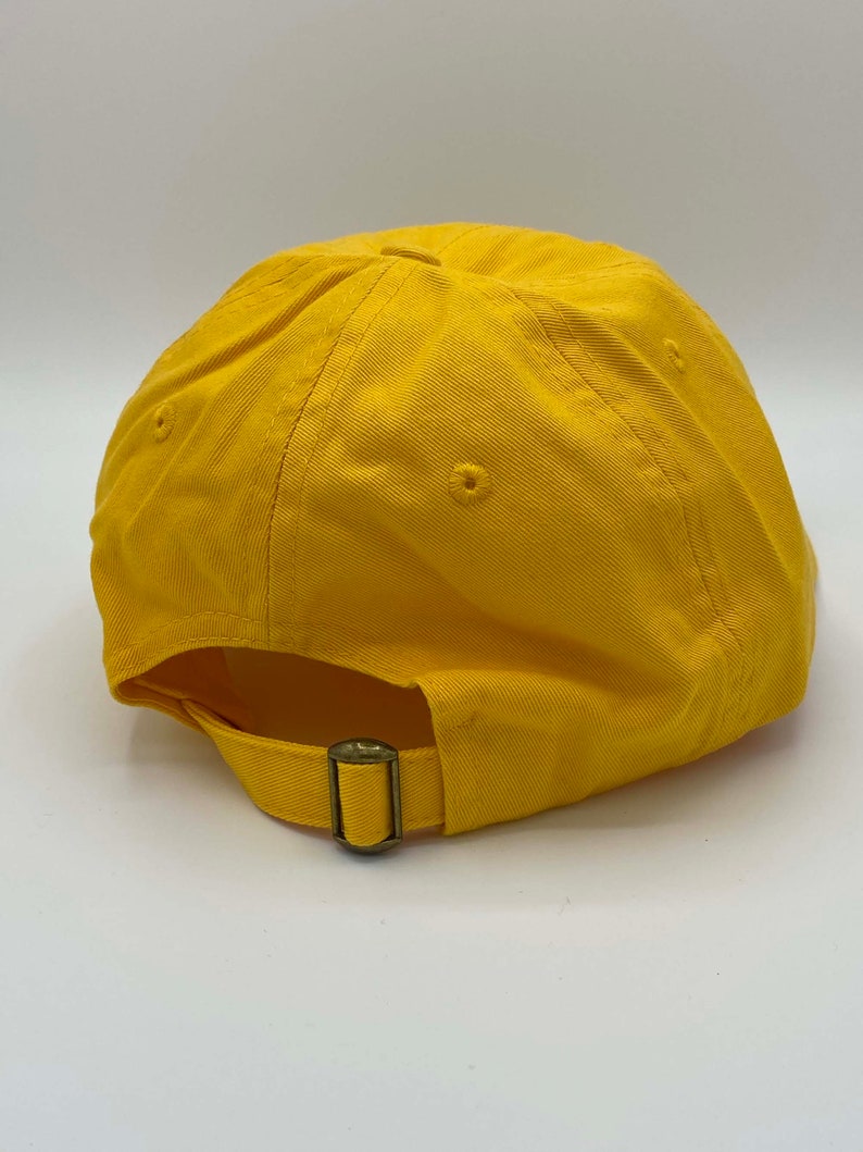 Monsters University JOX Sombrero JAWS Theta Chi gorra de - Etsy México