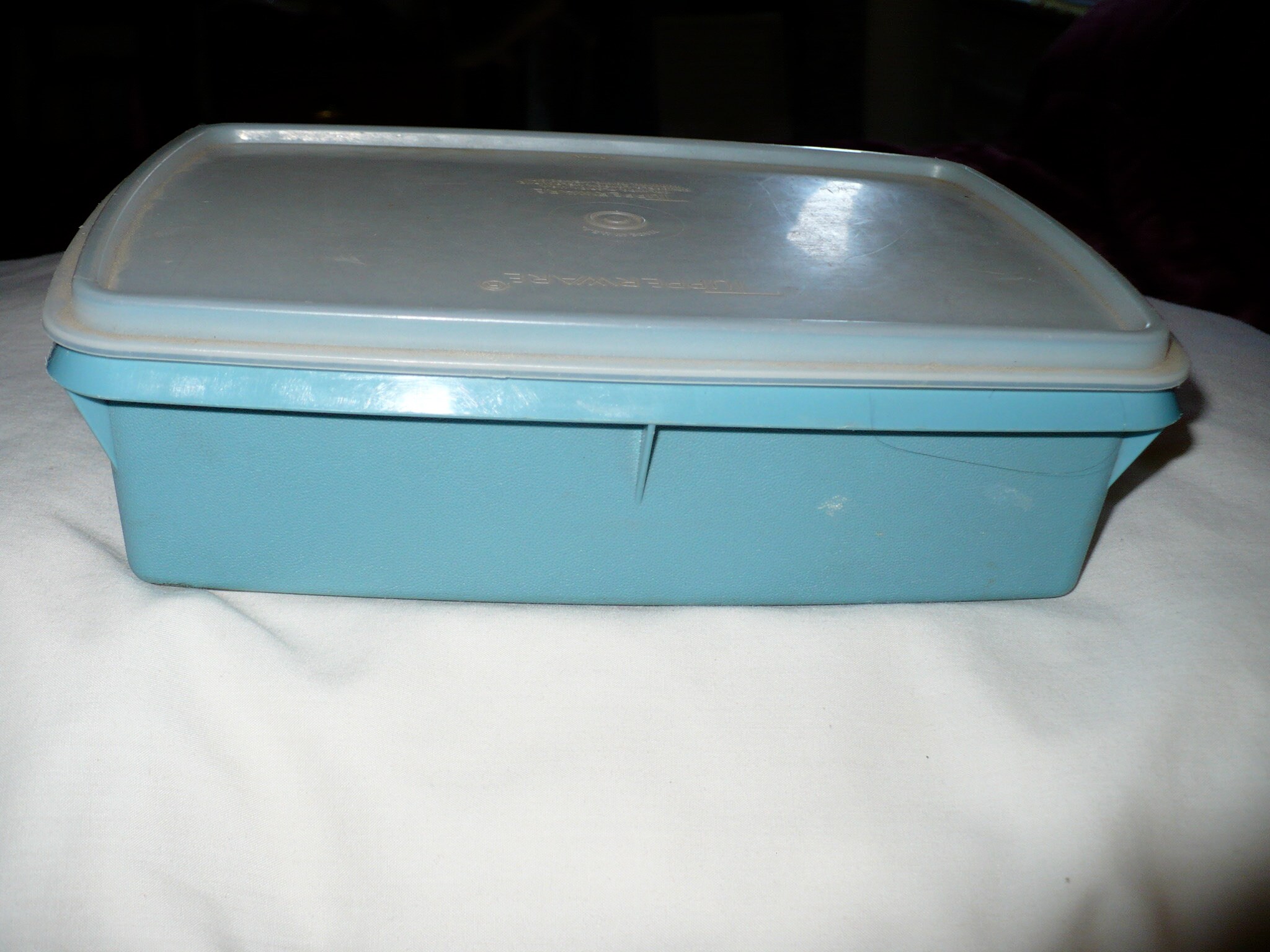 Tupperware Tuppercraft Divided Container for Crafts or Tools, Screws ...