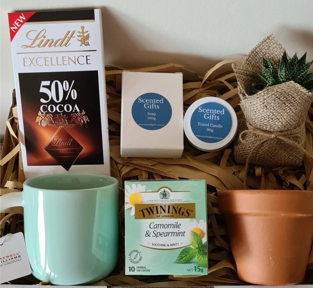 Eco Gift Hamper: Succulent, Tea, Candle & Chocolate Pamper Pack - Etsy