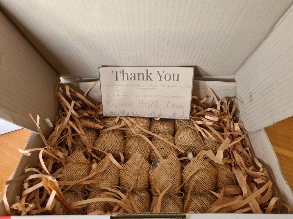 Succulent Special Wedding Bonbonniere Gift Favours | Etsy Australia