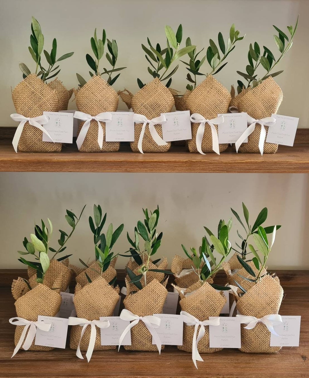 Olive Tree Wedding Favors: Eco-friendly Bonbonniere With Personalized ...