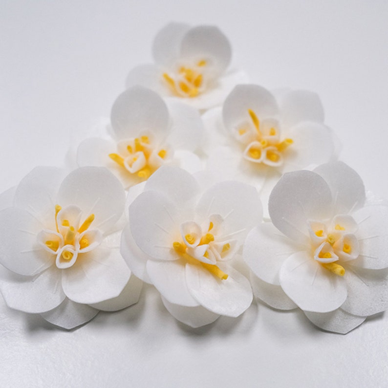 Cherry Bloom Edible Wafer Paper Flower 6 PK / Flower Topper - Etsy