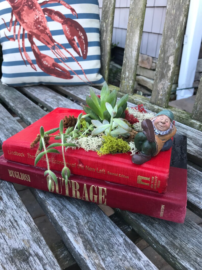 Upcycled Book Planter, Recycled Book Planter, Upcycled Succulent and ...