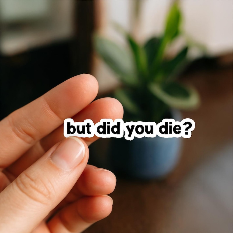 But Did You Did Sticker - Etsy UK