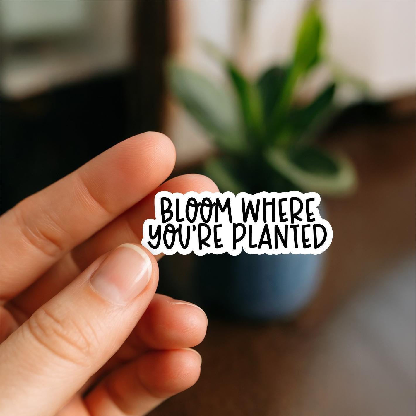 Bloom Where You Are Planted | Motivational Stickers | Positive Quotes ...