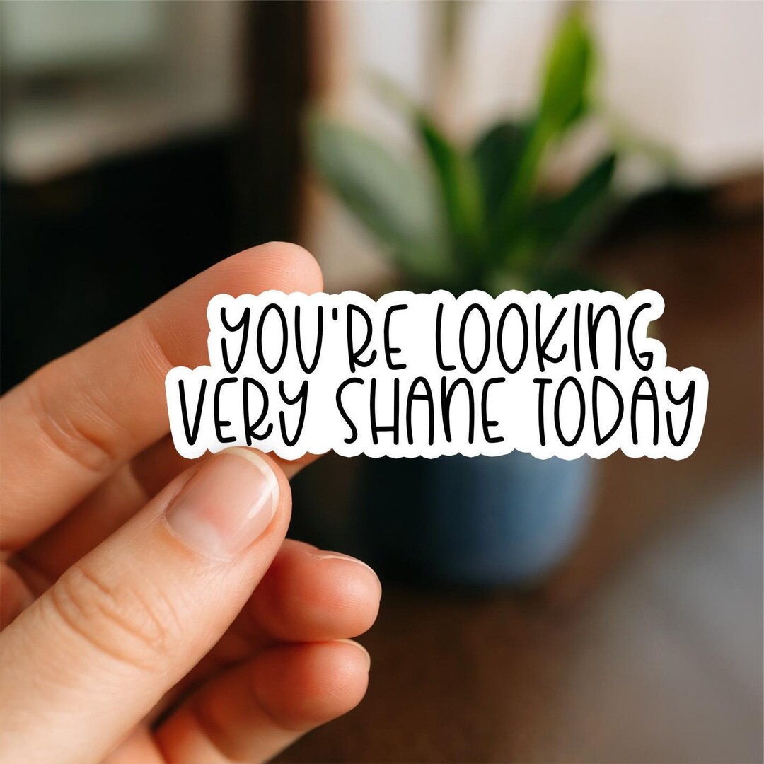 You're Looking Very Shane Today Sticker, Glossy, Funny Stickers, Laptop ...