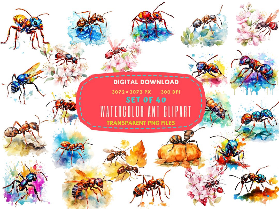 Watercolor Clipart Ants, Transparent PNG, Watercolor Clipart Magic ...