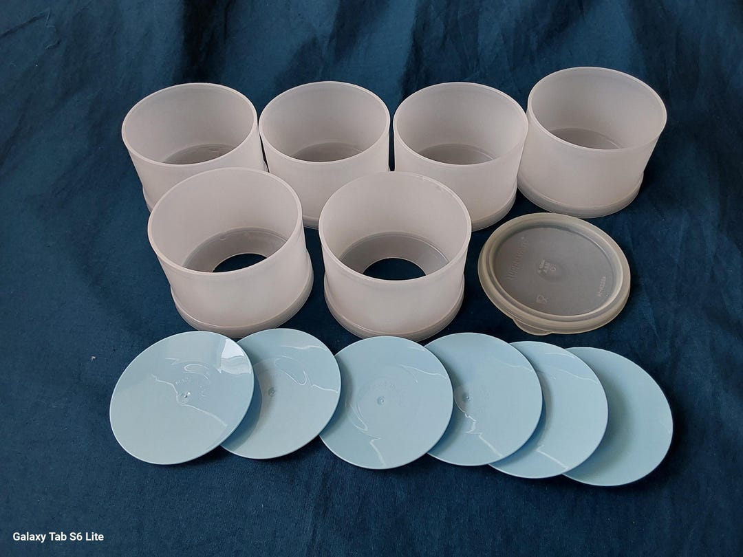 Vintage 1980s Tupperware Ice Cream Sandwich Molds Set of 6 Stacking ...