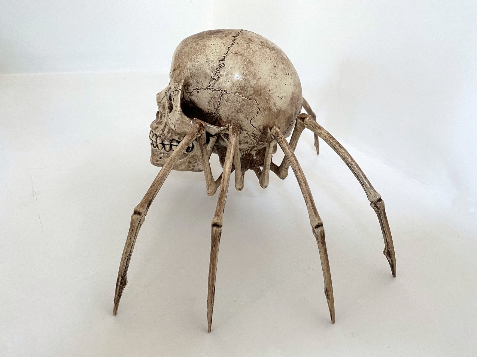 Spider Skull Fim Prop modelo | Etsy