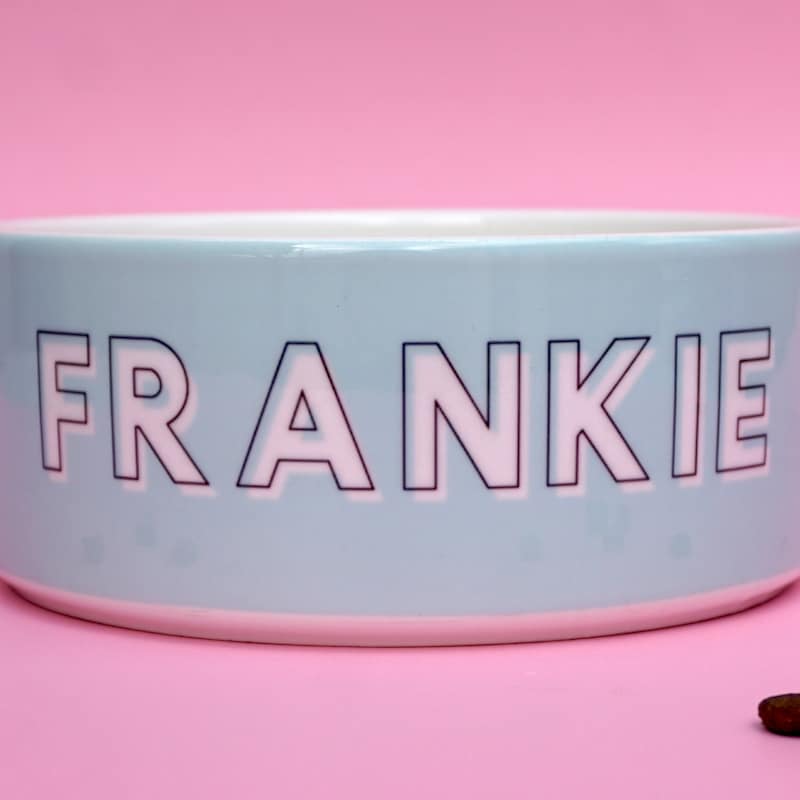 Customized Pet Food Dish - Etsy