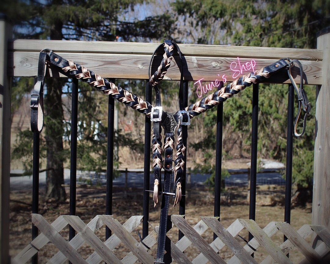 Black and Champagne Leather Braided Horse Tack Headstall and ...