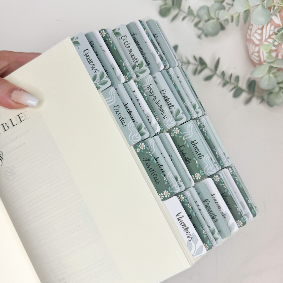 Bible Tabs - Sage Greenery 66 Books of the Bible - Etsy