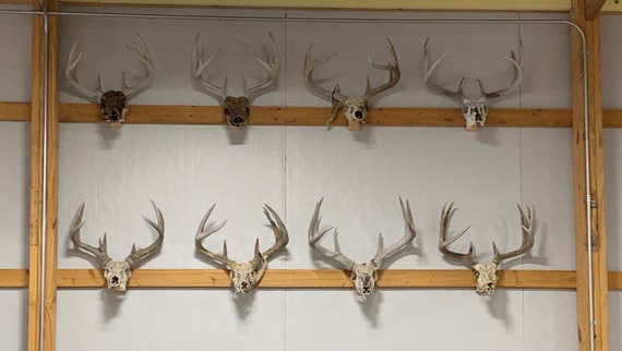 2x4 Euro Mount | Etsy