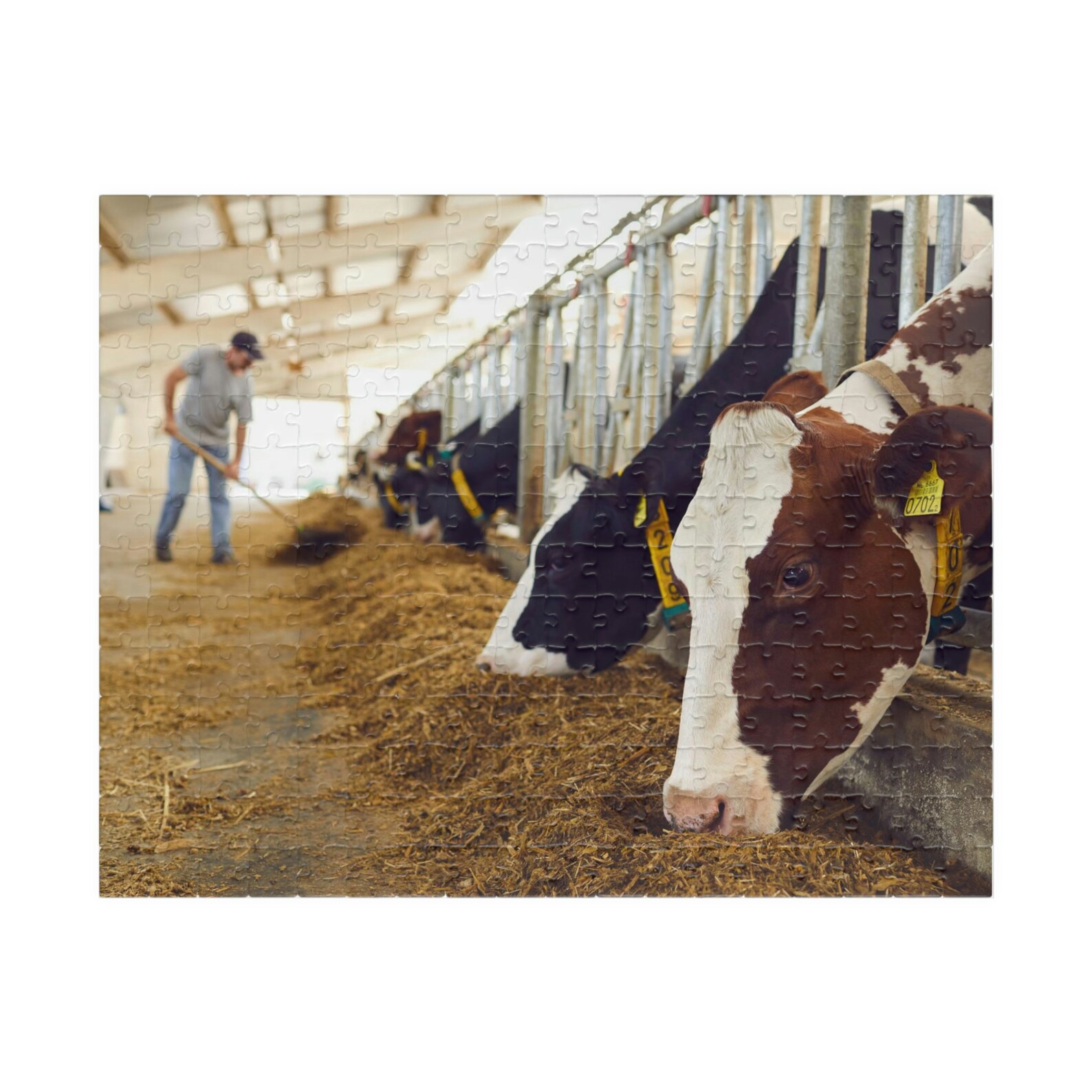 Dairy Cows in A Cattle Barn Country Farm Puzzle (110, 252, 500, 1014 ...