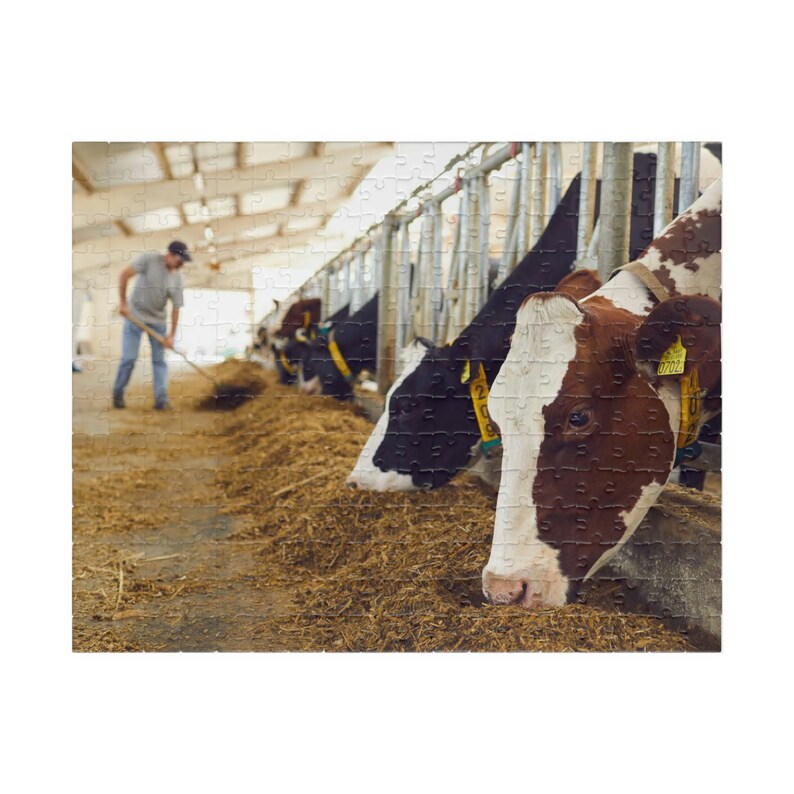 Dairy Cows in A Cattle Barn Country Farm Puzzle (110, 252, 500, 1014 ...