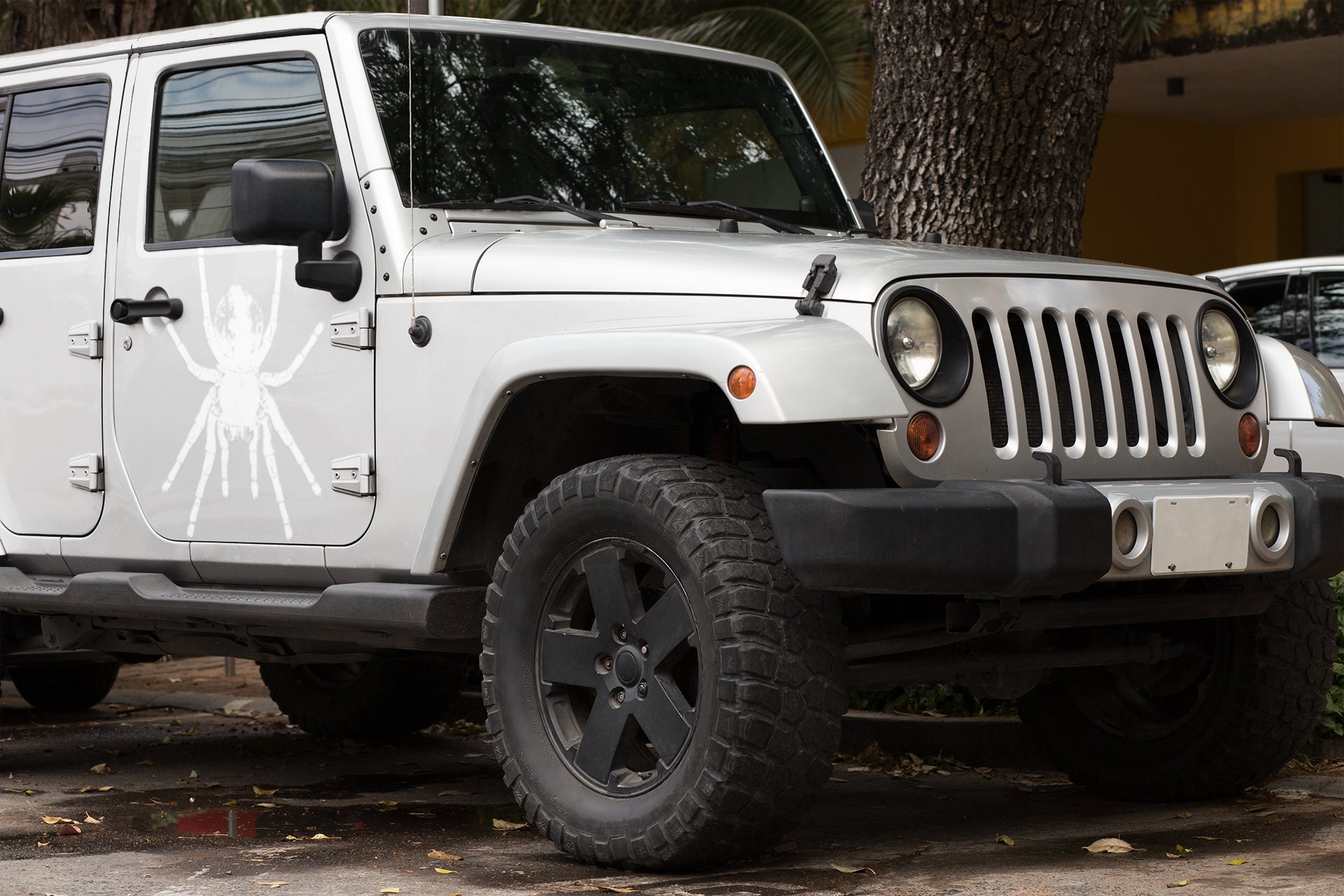 White Tarantula Spider SVG, Spider Clipart, Vehicle Decal, Digital ...