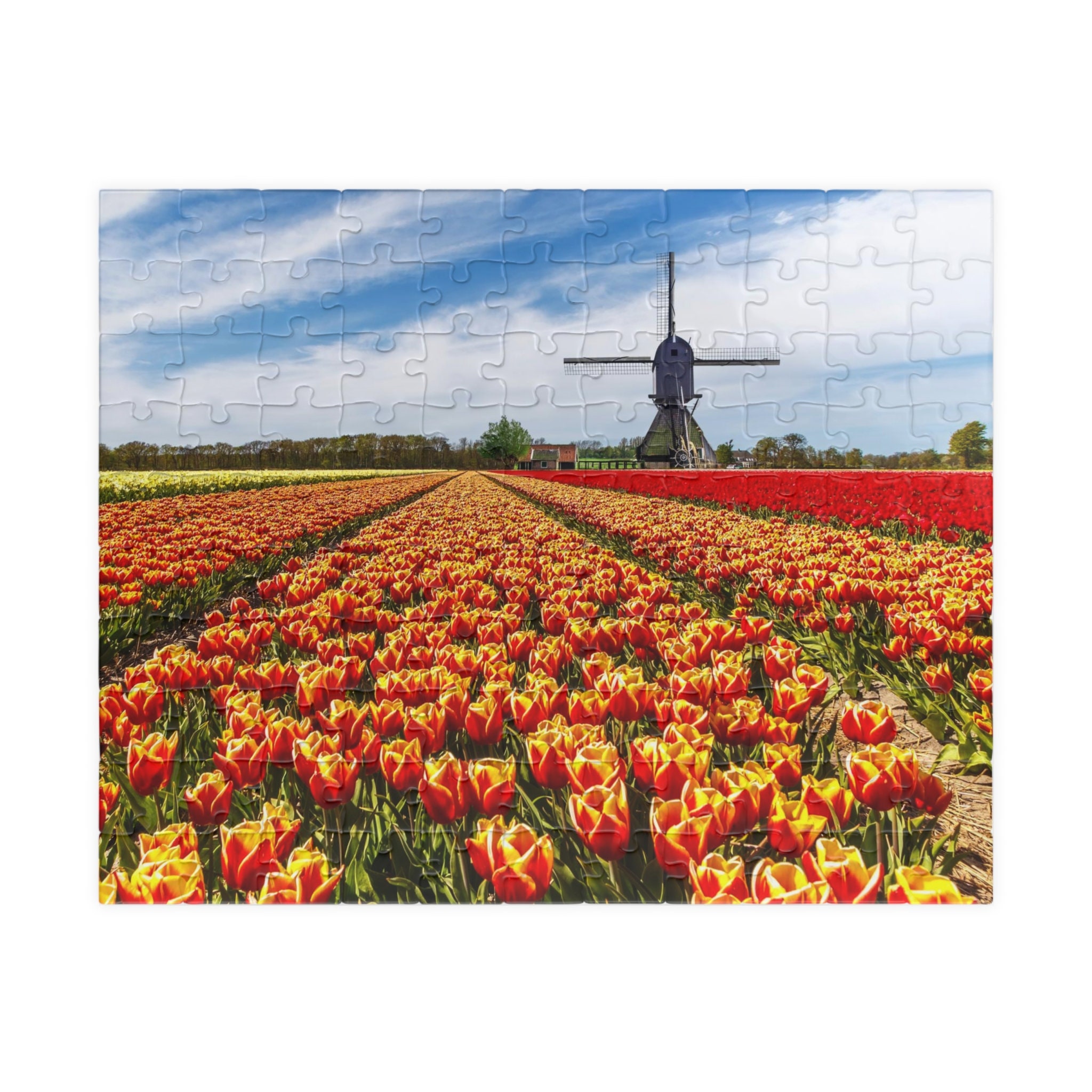 Dutch Tulip Bulb Farm Jigsaw Puzzle - Windmill and Colorful Fields (110 ...