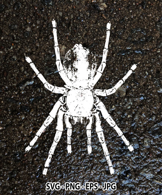 White Tarantula