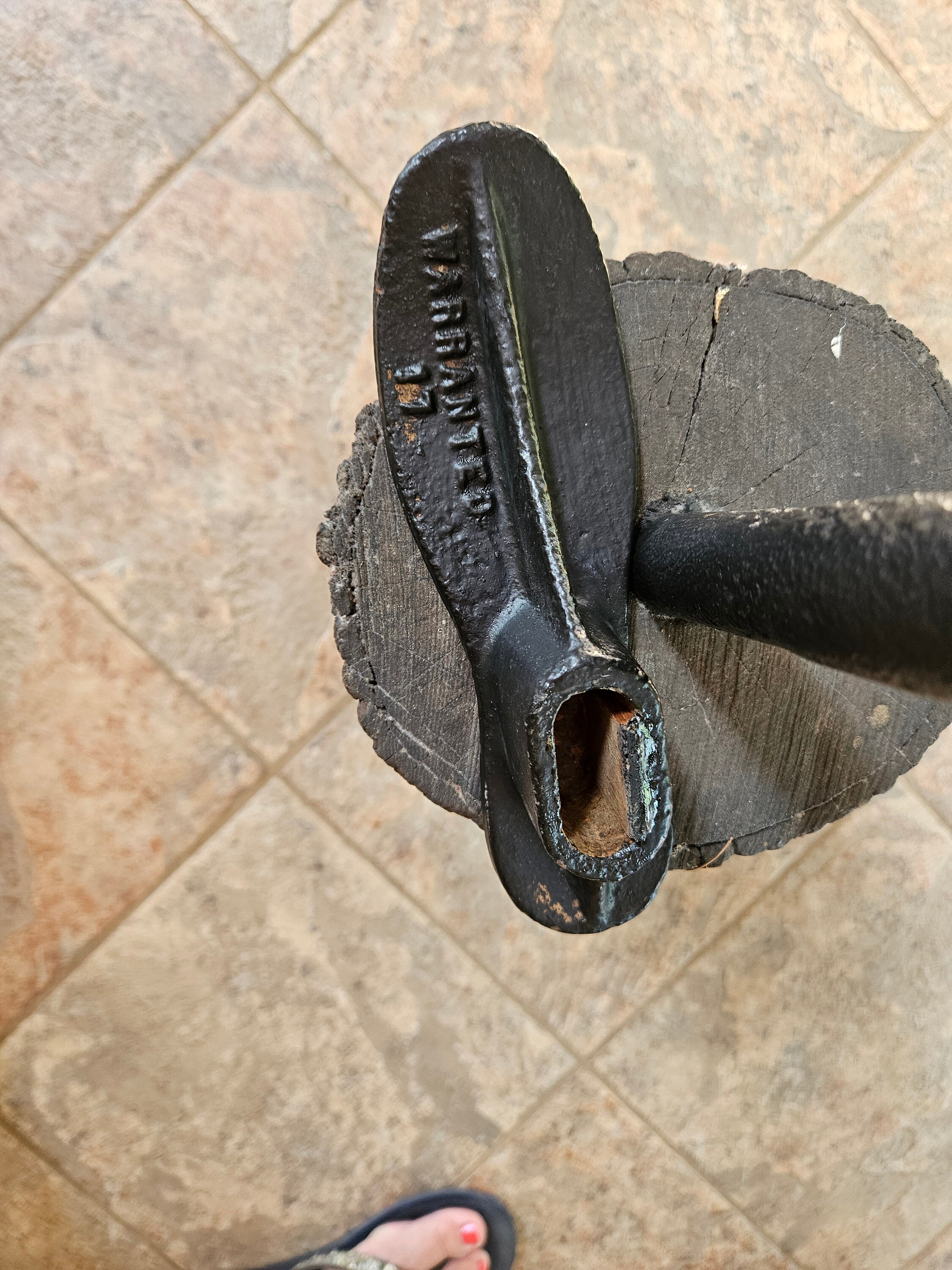 Antique Cast Iron Cobblers Shoe Anvil Stand Mounted on Wood Block - Etsy