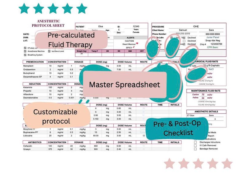 Veterinary Anesthetic Sheets : Auto-calculated (editable Template ...