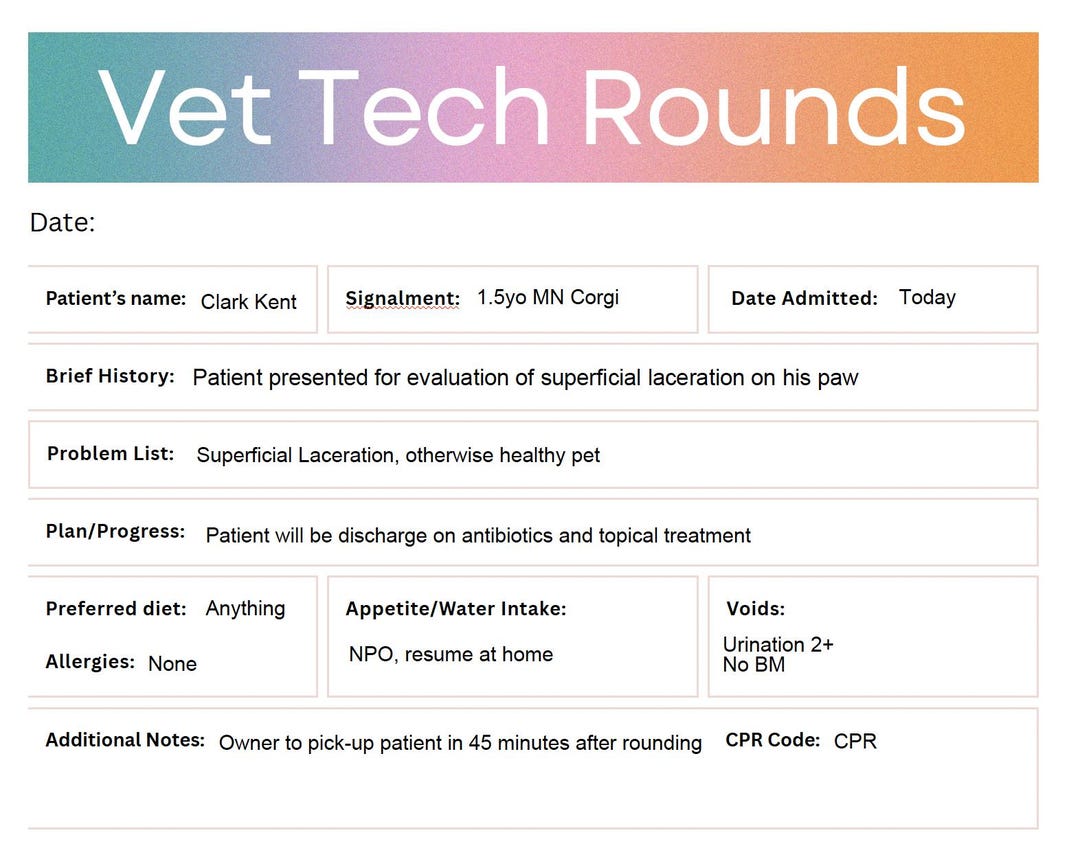 Vet Tech Patient Rounds Form ER Veterinary Hospital Summary - Etsy