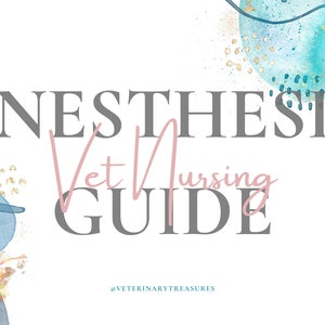 Vet Nursing Anesthesia Guide (cheat Sheet) - Etsy