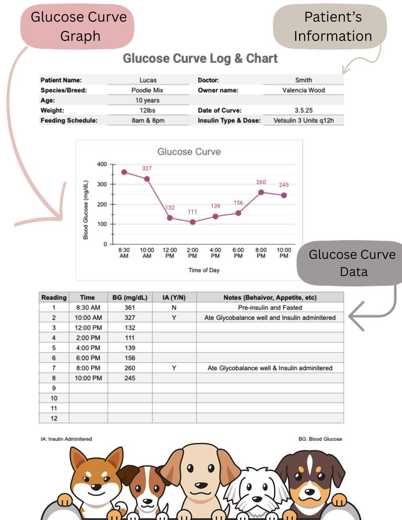 Glucose Curve Log and Chart - Etsy