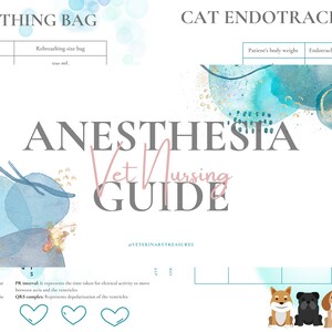 Vet Nursing Anesthesia Guide (cheat Sheet) - Etsy