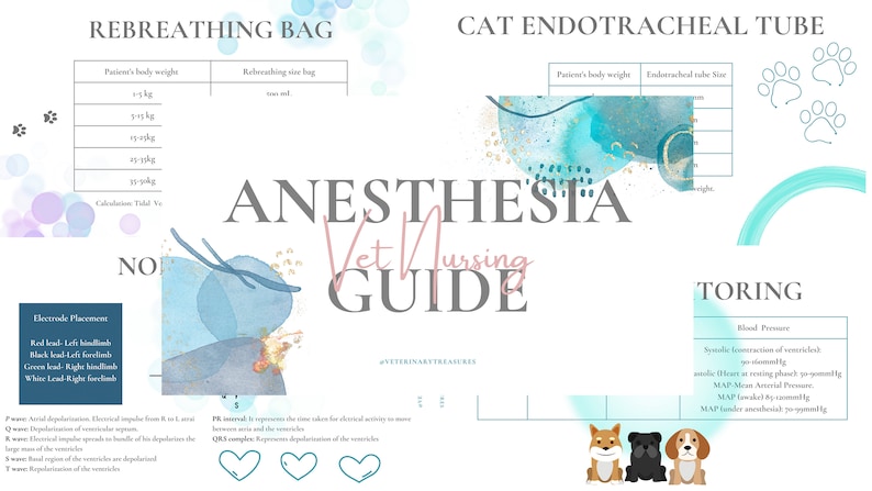 Vet Nursing Anesthesia Guide (cheat Sheet) - Etsy