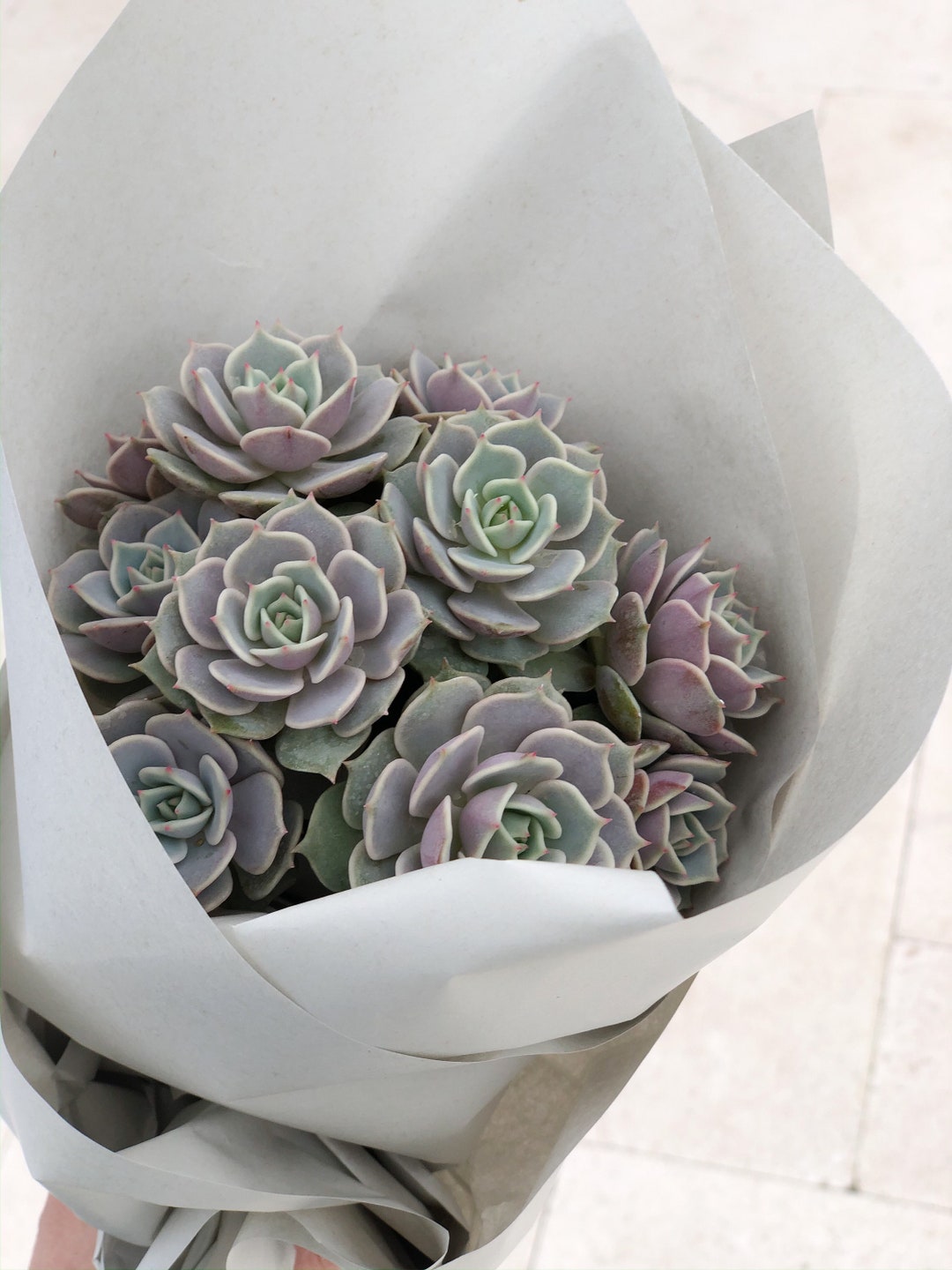 Lola Succulent Bouquet - Etsy