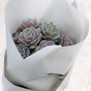 Lola Succulent Bouquet - Etsy